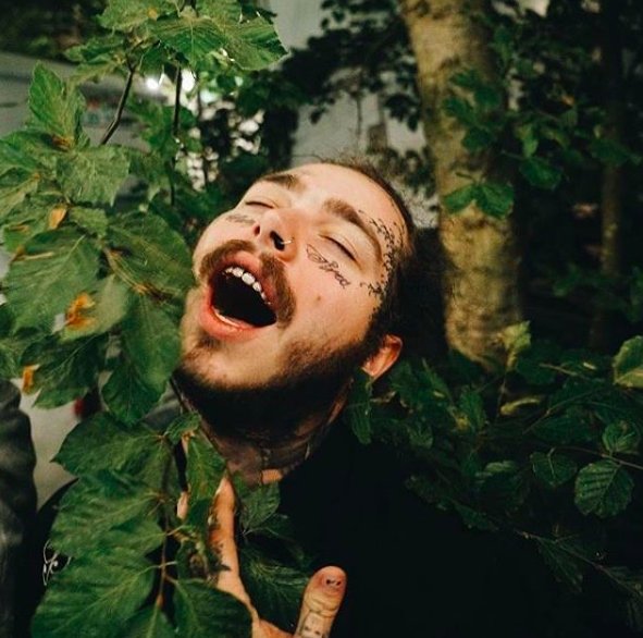 Post Malone's New Photos (16/81) - Free2Music